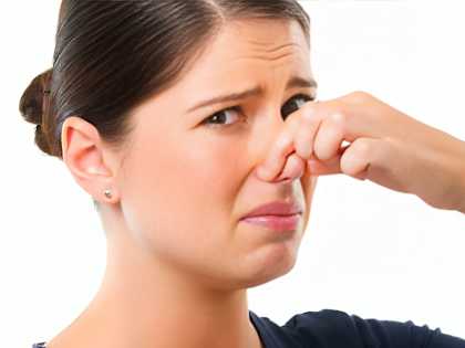 Eugene Geis's Instagram, Twitter & Facebook on IDCrawl