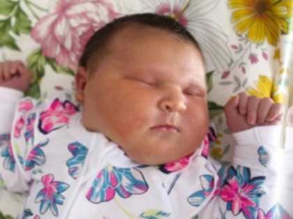 Philip Chacon's Instagram, Twitter & Facebook on IDCrawl