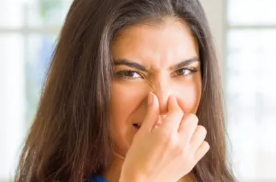 Robin Hollenbeck's Instagram, Twitter & Facebook on IDCrawl